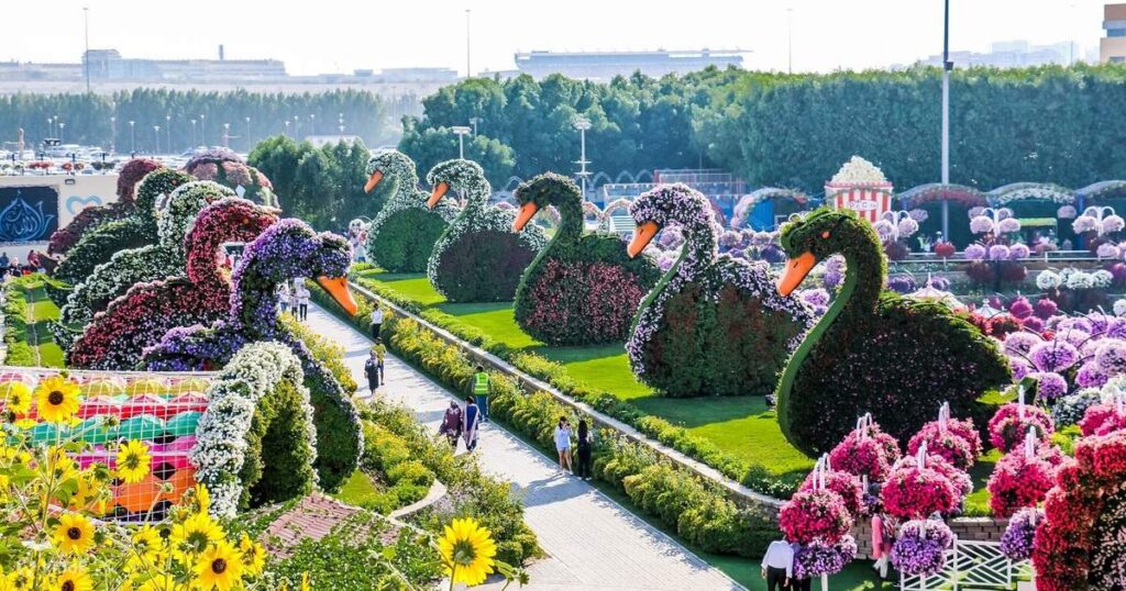 Disa fakte rreth kopshtit të mrekullive (Miracle Garden), Dubai | Max ...